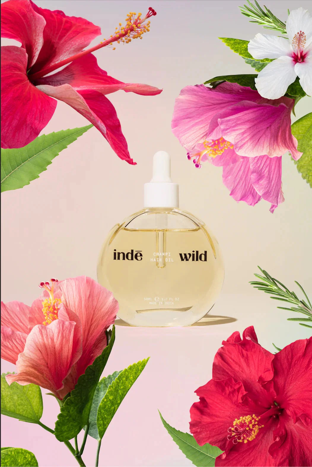 What Makes Champi So Special! – indē wild